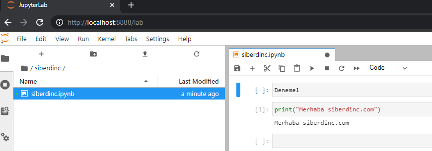 Python ve Jupyter Notebook Nasıl Kurulur ? | by Erdinç Tandoğan | Medium