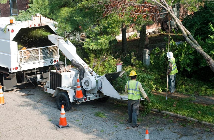 All About Arborists. We are going to make sure you… | by Five Star Tree ...