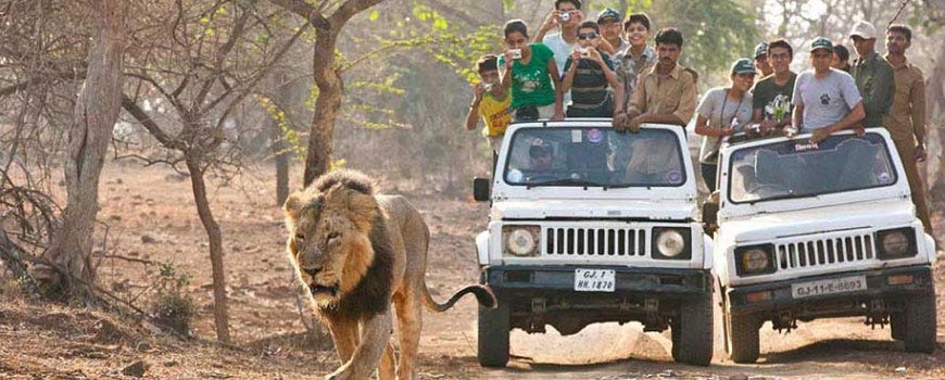 saurashtra tour package. Day 01 Ahmedabad — Lothal — Velavadar… | by ...
