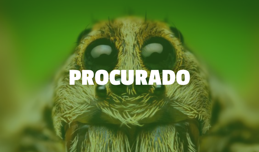 Sikuli IDE — “Hello World”. A cada dia que passa as aplicações… | by ...
