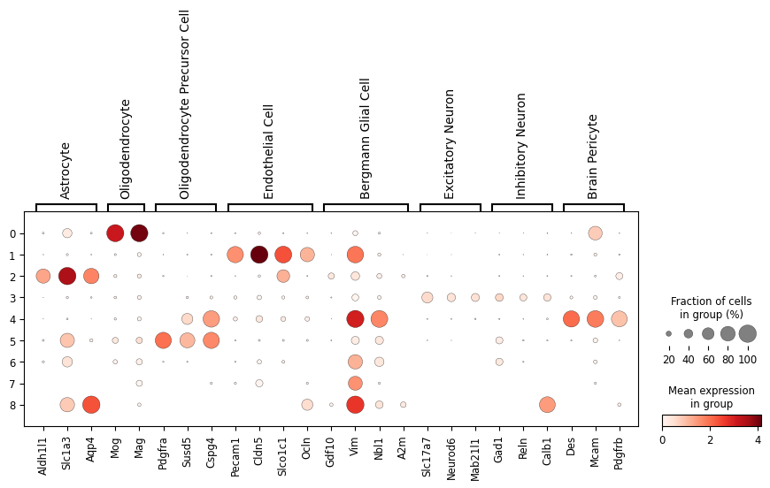 Applying a single-cell RNA-sequencing pipeline to mice brain cell data ...