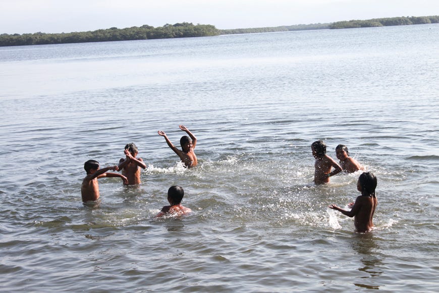 O que podemos ( e devemos) aprender com os índios | by Fernanda Dos Santos | Medium