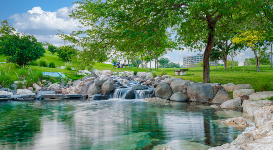 Cultural and Natural Charms of Qatar | by 365 Adventures | Medium