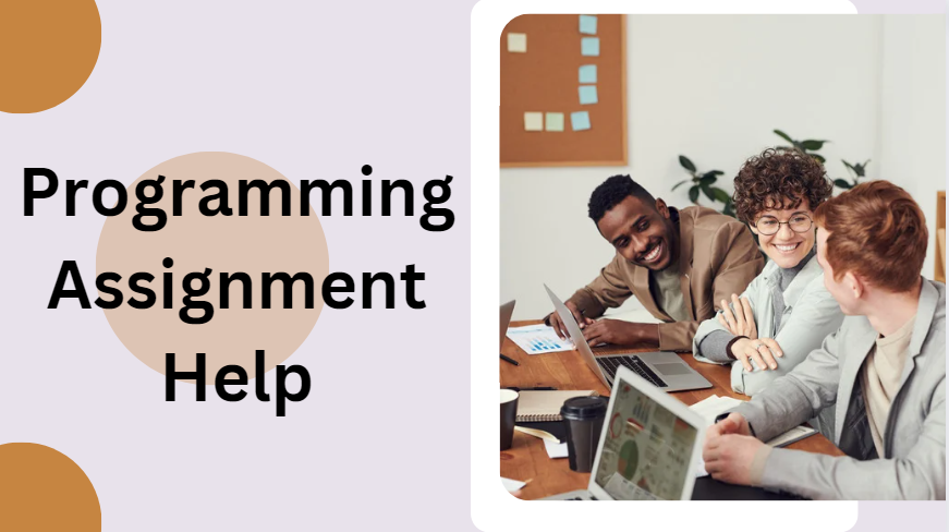 what is programming assignment help | by yoganshu sharma | Jan, 2024 | Medium