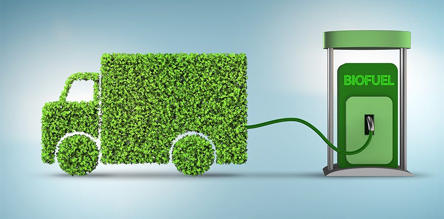 What is Lifecycle Emissions Balance in the Biofuels Industry? | by ...