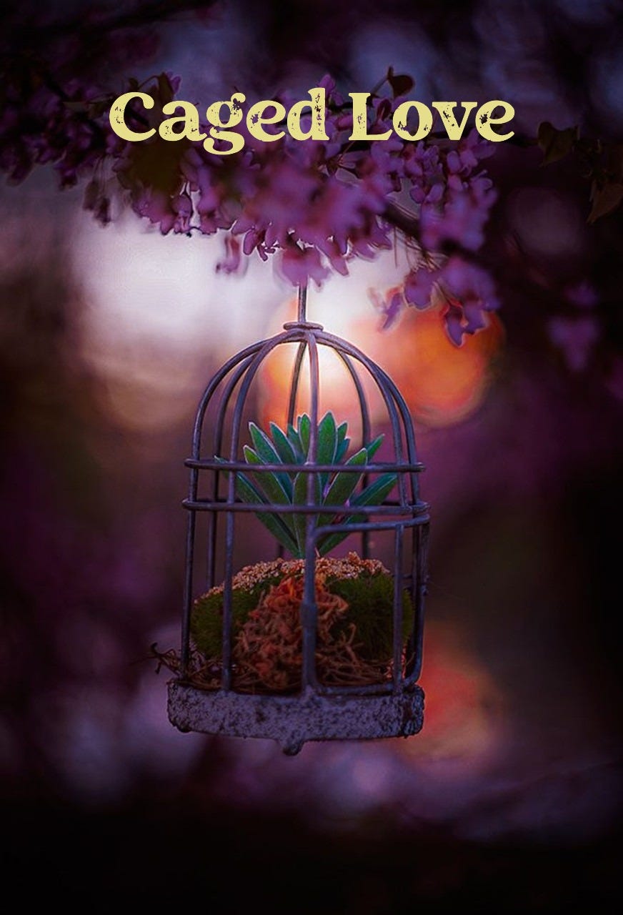 Caged Love. Flash Fiction | by Mark Bennett | Medium