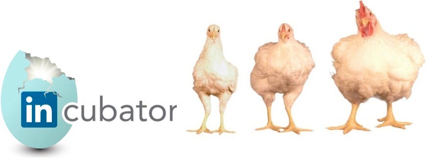Why You Should be Approaching a Incubator for your Startup? | by The ...
