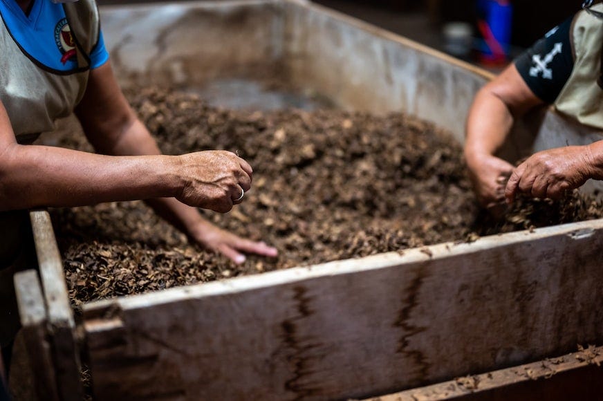 Millicomposting. A new way of composting. | by Hilbeth Jean ...