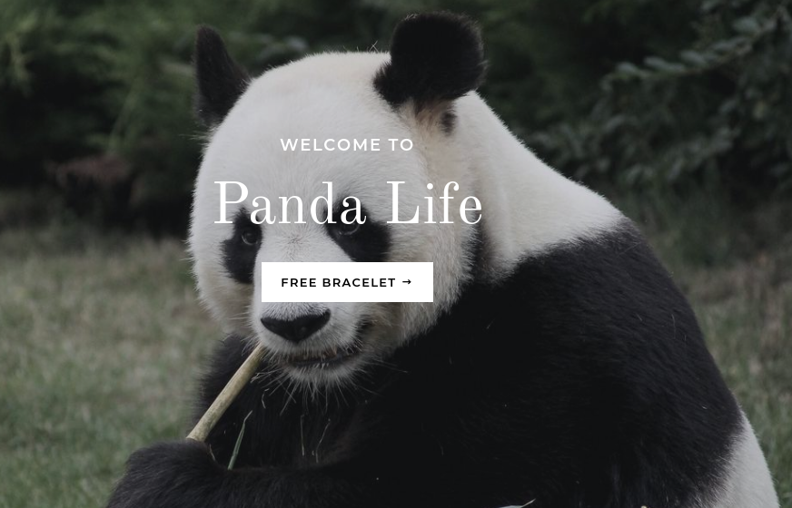 Best Gifts For Panda Lovers — The Panda Life | by The Panda Life | Medium