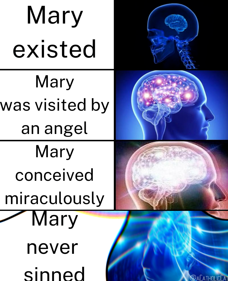 Cat Presents Five Freshly Baked Catholic Memes | by A Catholic Cat | Medium