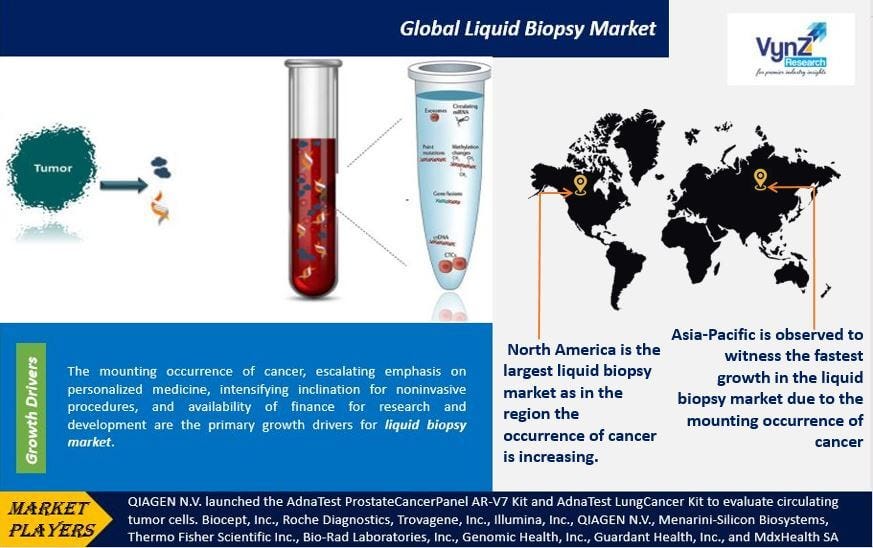 Global Liquid Biopsy Market during the projected period from 2025 to ...