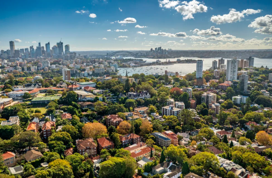 Finding the Perfect Real Estate Solution Provider for Your Needs | by ...