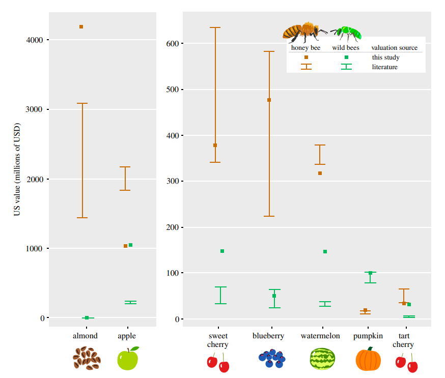 Biodiversity, Bees, Pollination and Agritech using AI | by Minhaaj ...