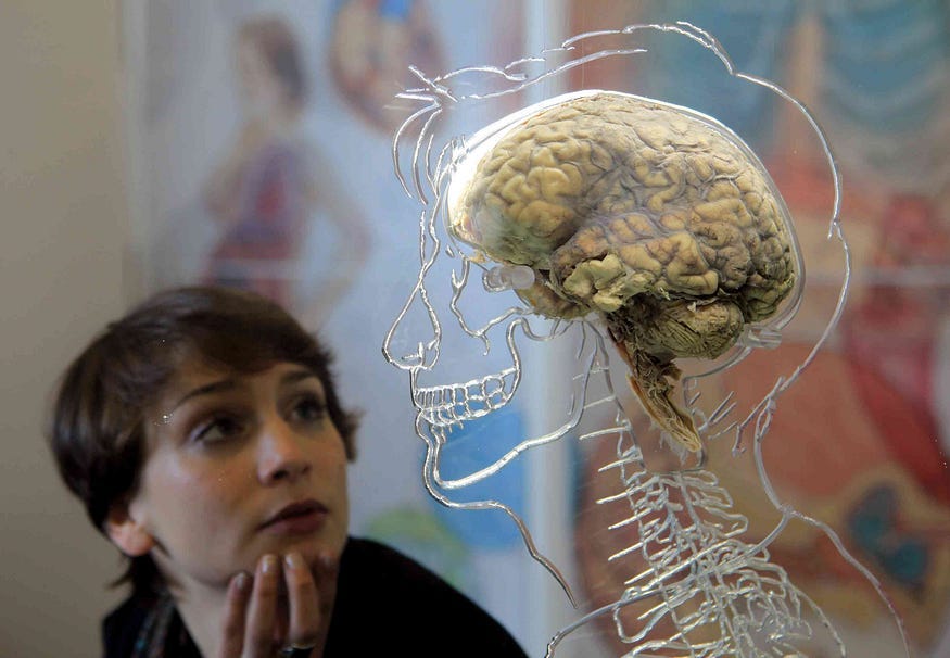 The complexity of the human brain and its relationship with artificial ...