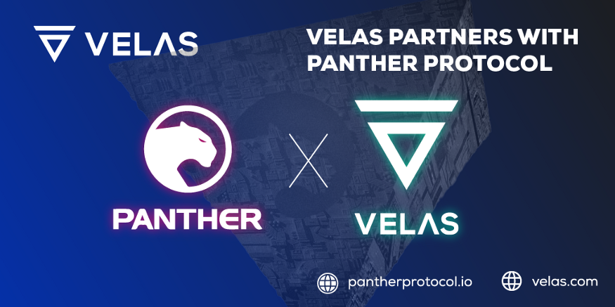 Velas Bermitra dengan Panther untuk Pengintegrasian Teknis Lebih Lanjut ...