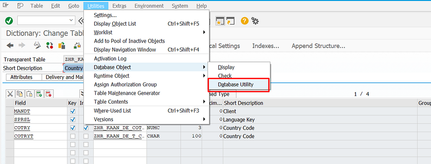 Creating A Sap Abap Maintenance View Kaan Can Calkan
