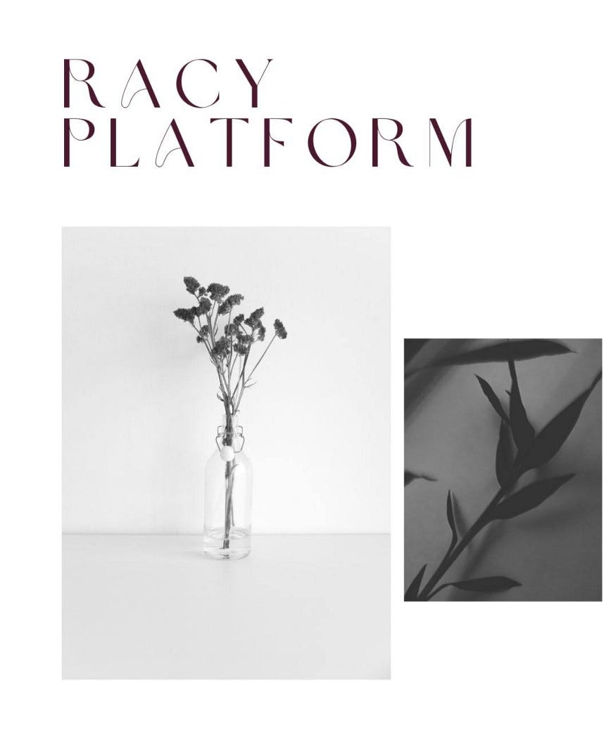 🌍 RACY PLATFORM. The RACY platform is a social media… | by RACY ...