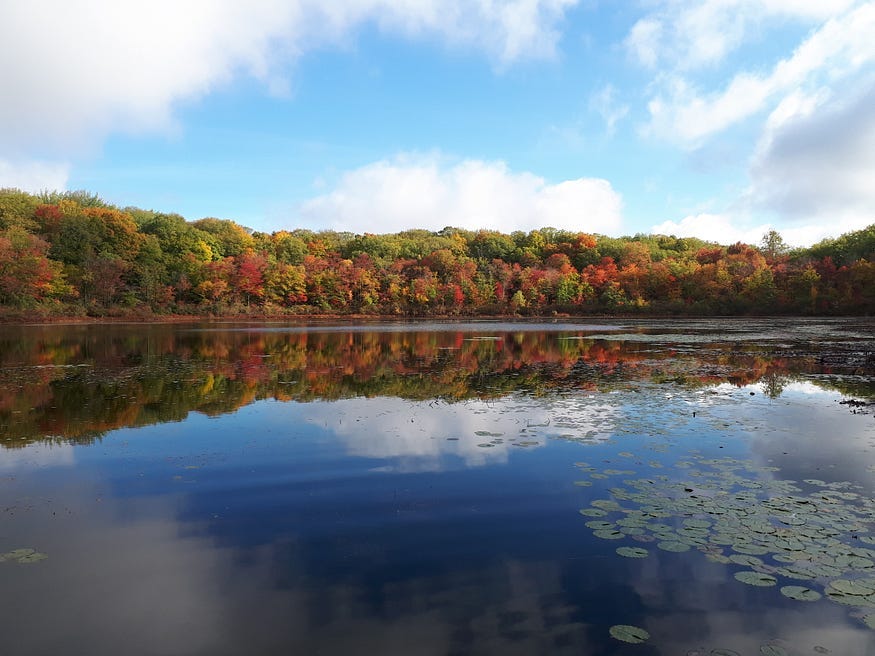 The Different Faces of Fall: Autumn Around the World | by Vanessa Brown ...