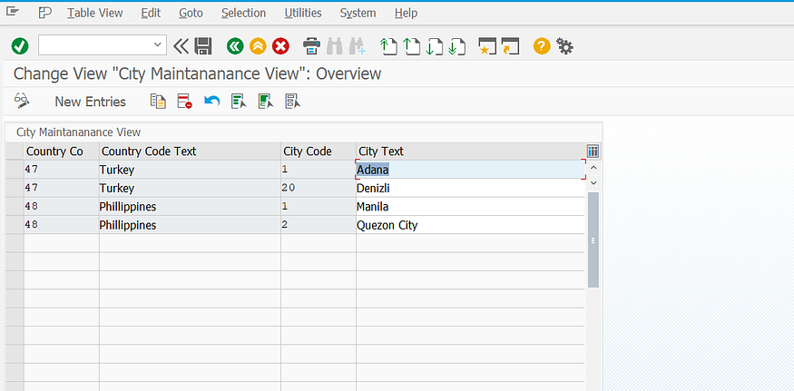 Creating A Sap Abap Maintenance View Kaan Can Calkan