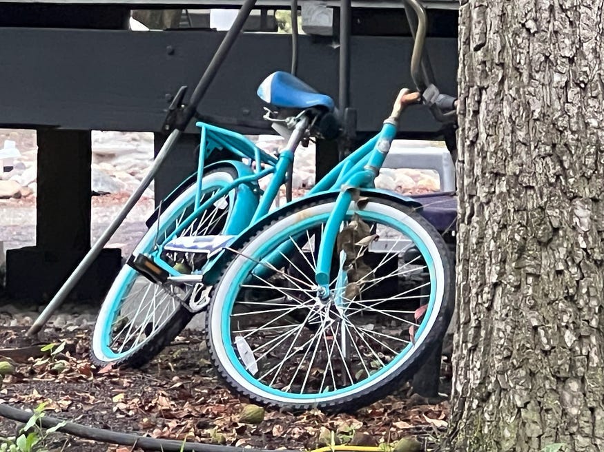The Abandoned Bicycle. A writing prompt for the Challenged | by Julia A ...