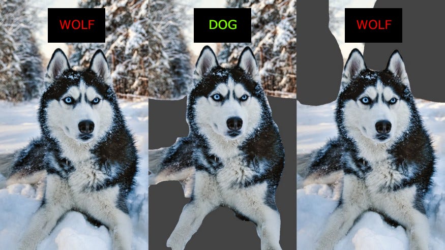 Interpreting Machine Learning Models Using LIME | by Arturo S. | Medium Interpreting Machine Learning Models Using LIME | by Arturo S. | Medium