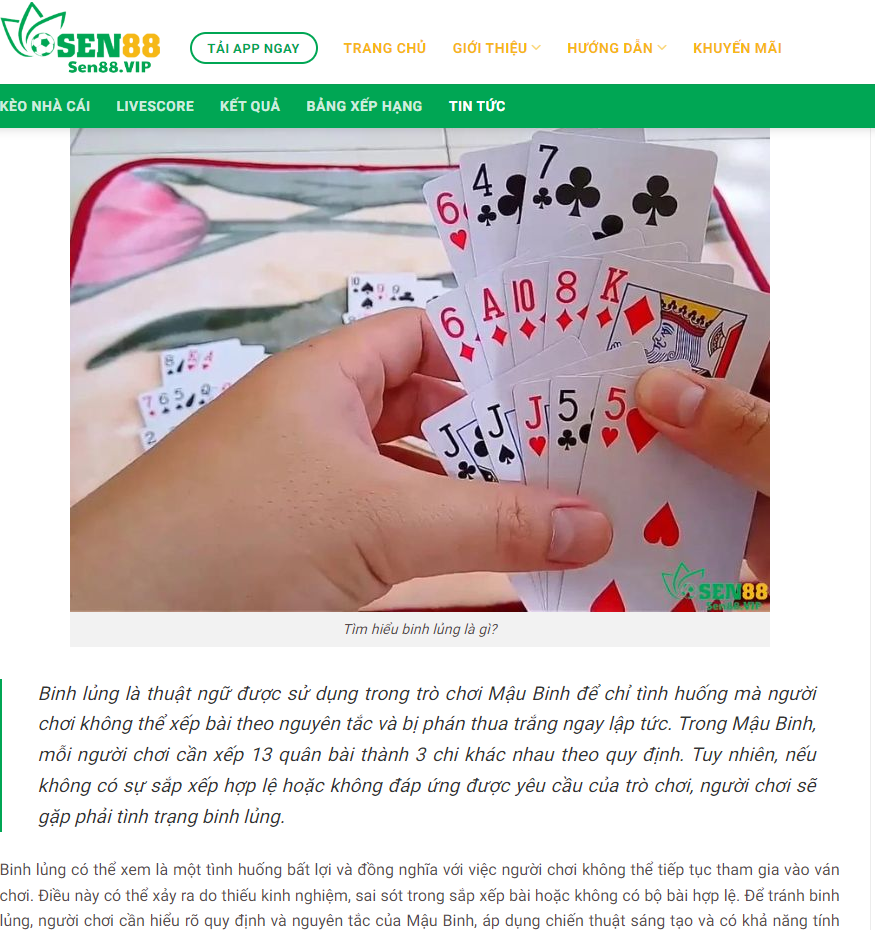binh lung la gi cach xep bai mau binh khong lung hay nhat medium | by Sen88vip | Medium