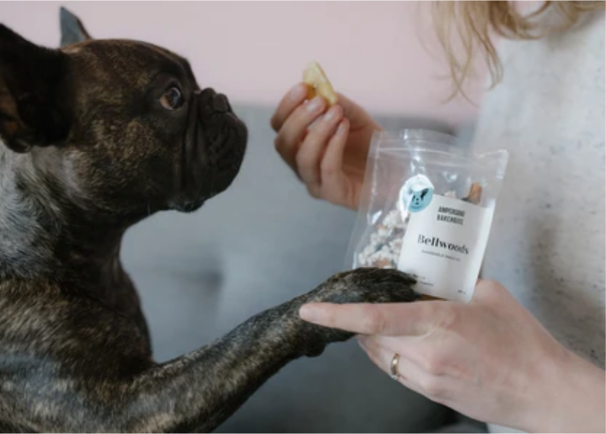 Healthy Snacks You & Your Dog Can Share! | by Tenatch | Medium