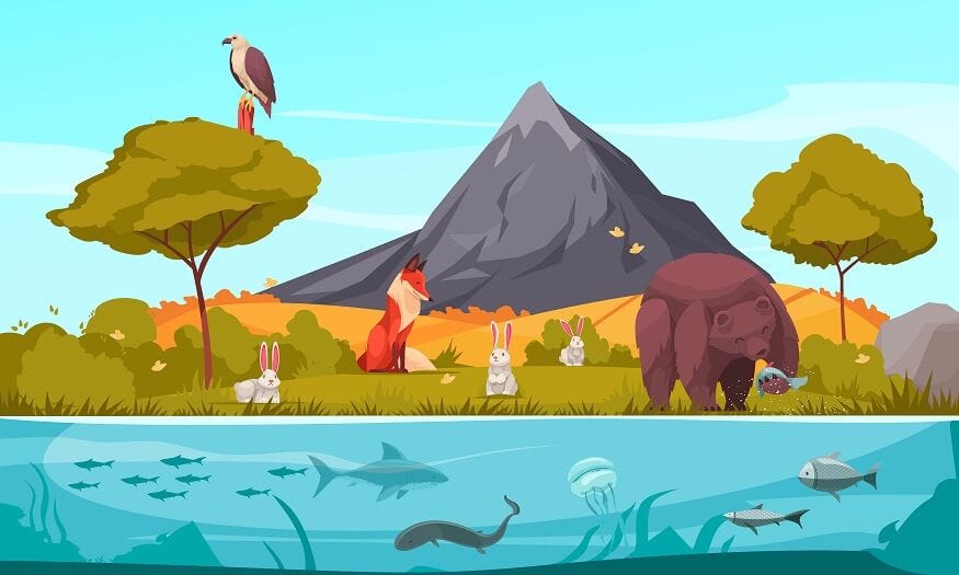 Discovering the EcoSystem of Your Life with Human Design | by Michelle ...