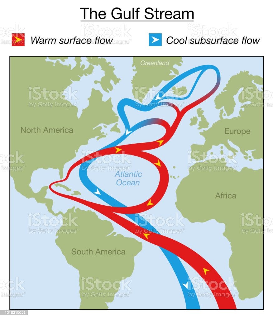 What a Slowing Gulf Stream Means for the Northern Hemisphere | by Brady ...
