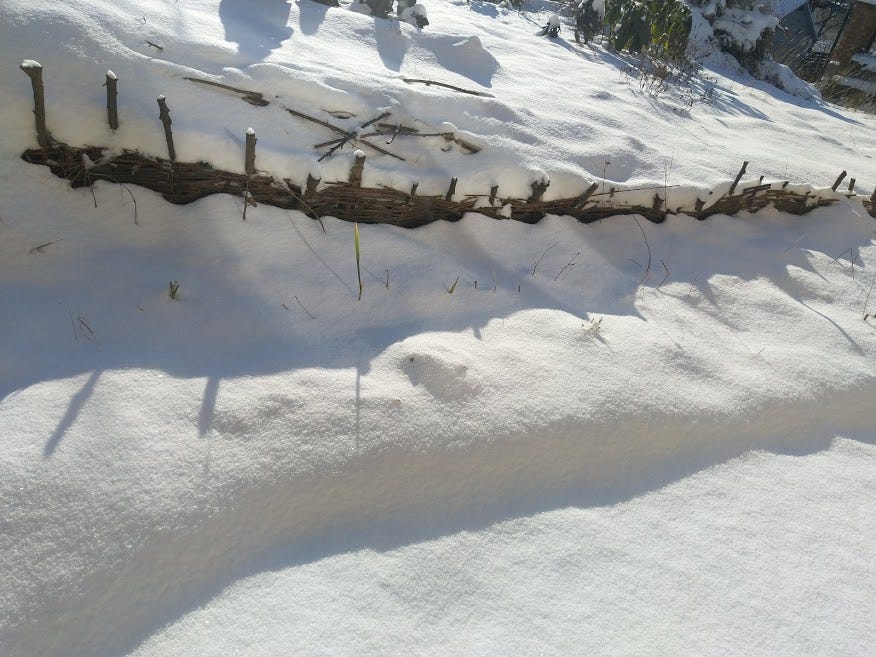 January mix. Tips and mix from January's new… | by Taska | Medium