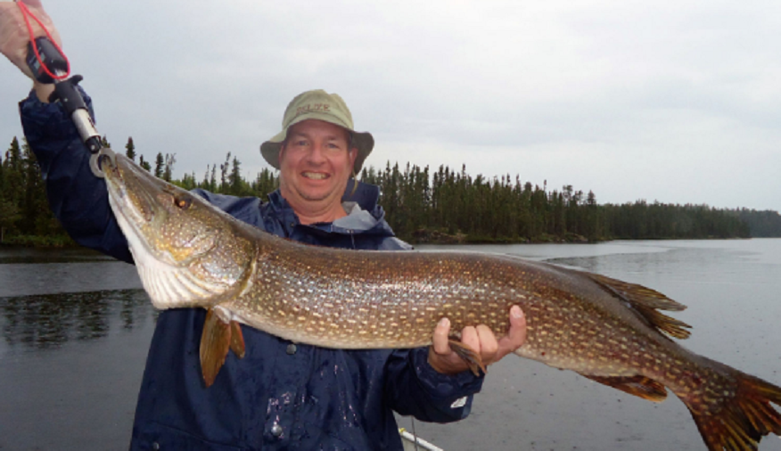 What Are the Benefits of Northern Pike Fishing | by John Smith | Feb ...