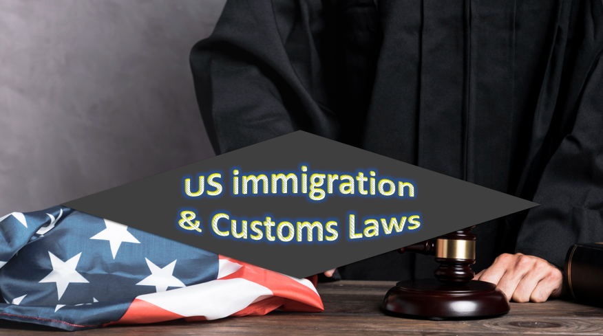 Navigating the Maze: Understanding US Immigration and Customs Laws | by ...