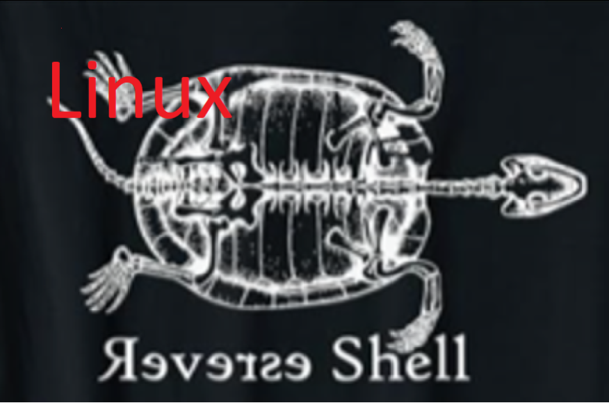 Linux Reverse Shell That Almost Always Works By Nol White Hat Infosec Write Ups