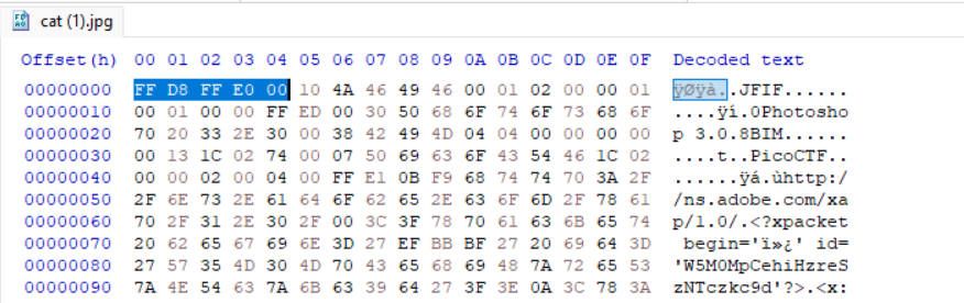 The “Information” challenge in PicoCTF presents an intriguing puzzle ...
