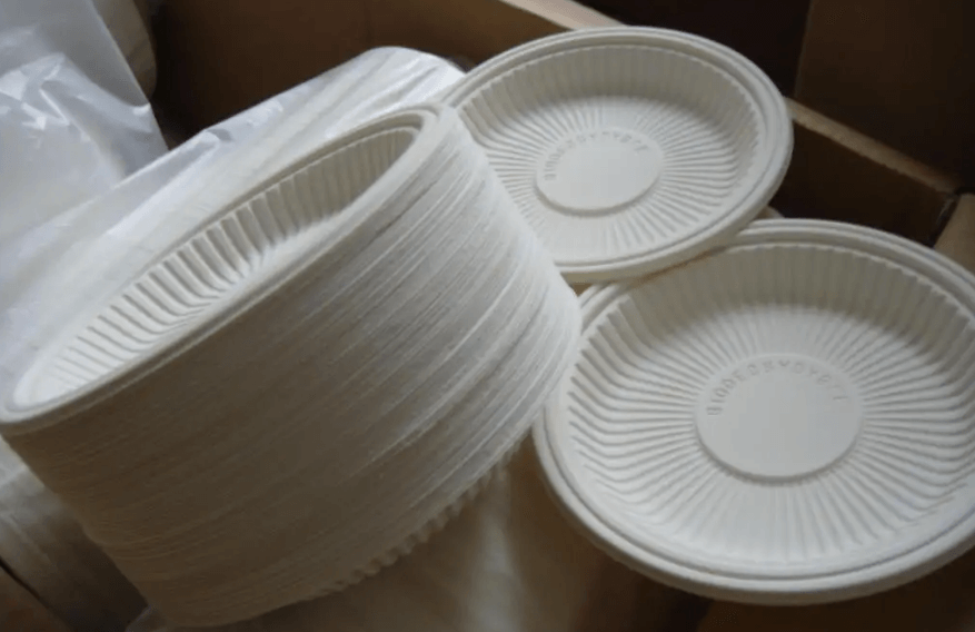 Biodegradable tableware becomes the focus in the market | by Hannahqiu ...