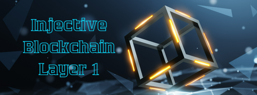 Understanding the concept of an Injective Blockchain Layer 1 | by ...
