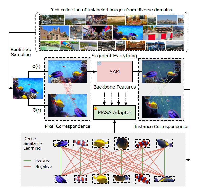 Object Tracking |Review of “Matching Anything by Segmenting Anything” | by Hamdi Boukamcha | Medium