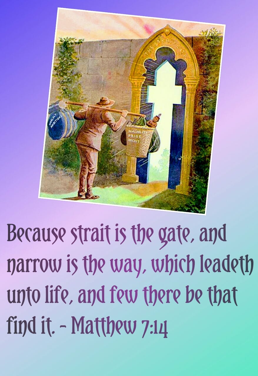 Straight Narrow Gate