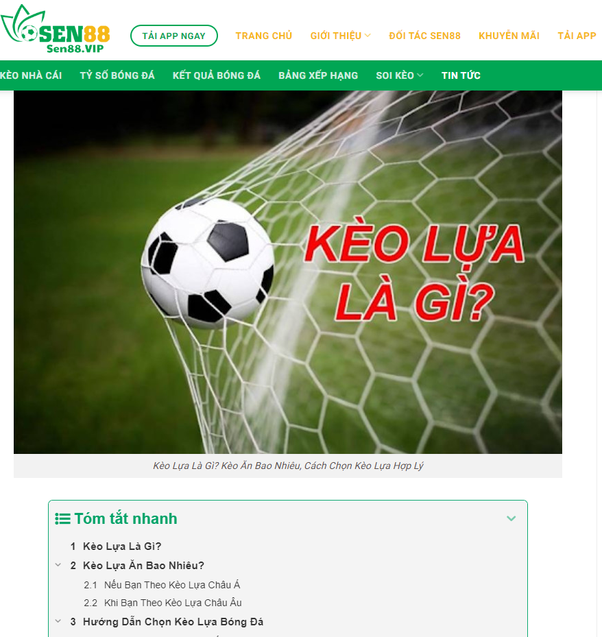 keo lua la gi kinh nghiem chon keo lua co ty le thang cao nhat medium ...