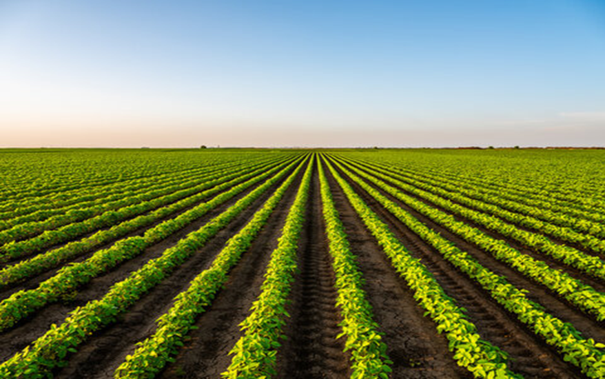 Social Equity in Agriculture. Introduction: | by Eman hamza | Sep, 2023 ...