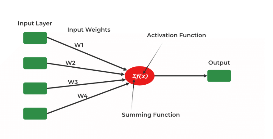 Single Layer Perceptron. What is Single Layer Perceptron? | by Krishika ...
