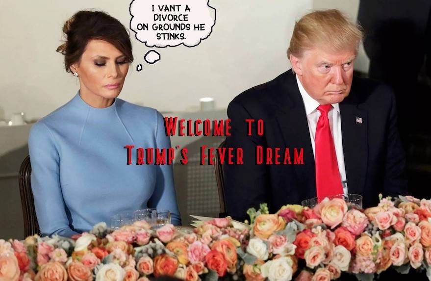 Trump’s Fever Dream Political Satire | by Donaldsghost | Sep, 2024 | Medium