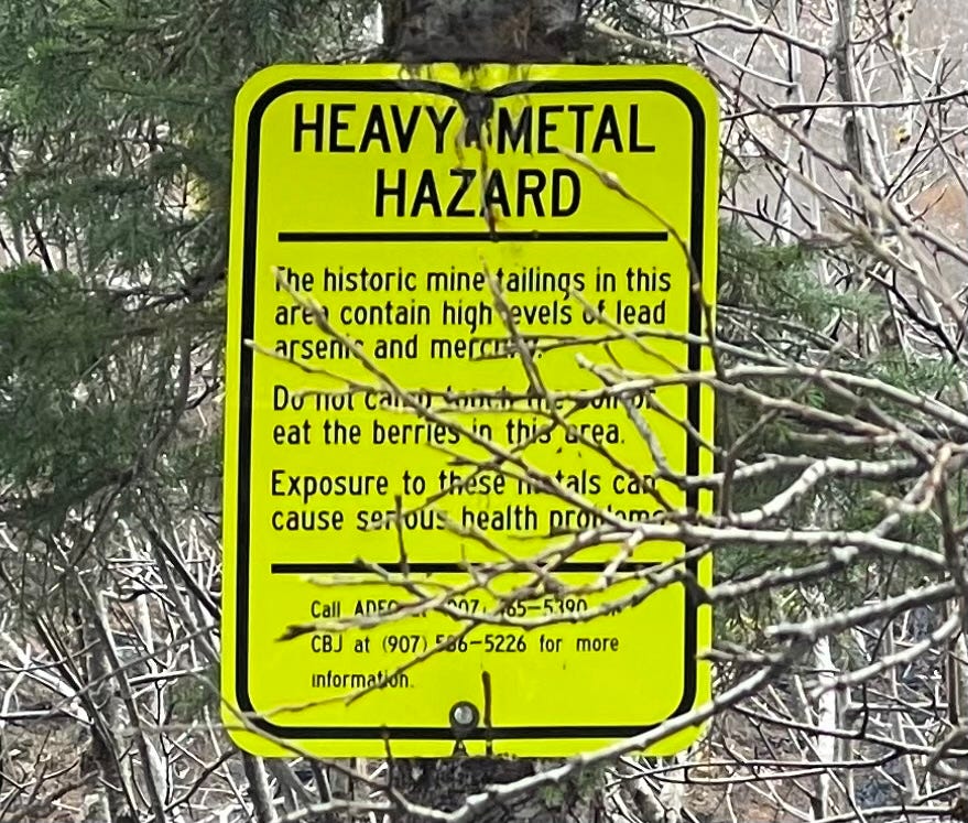 The Hazard of Heavy Metal. A Forty-Year Perspective | by Stevenharrison ...