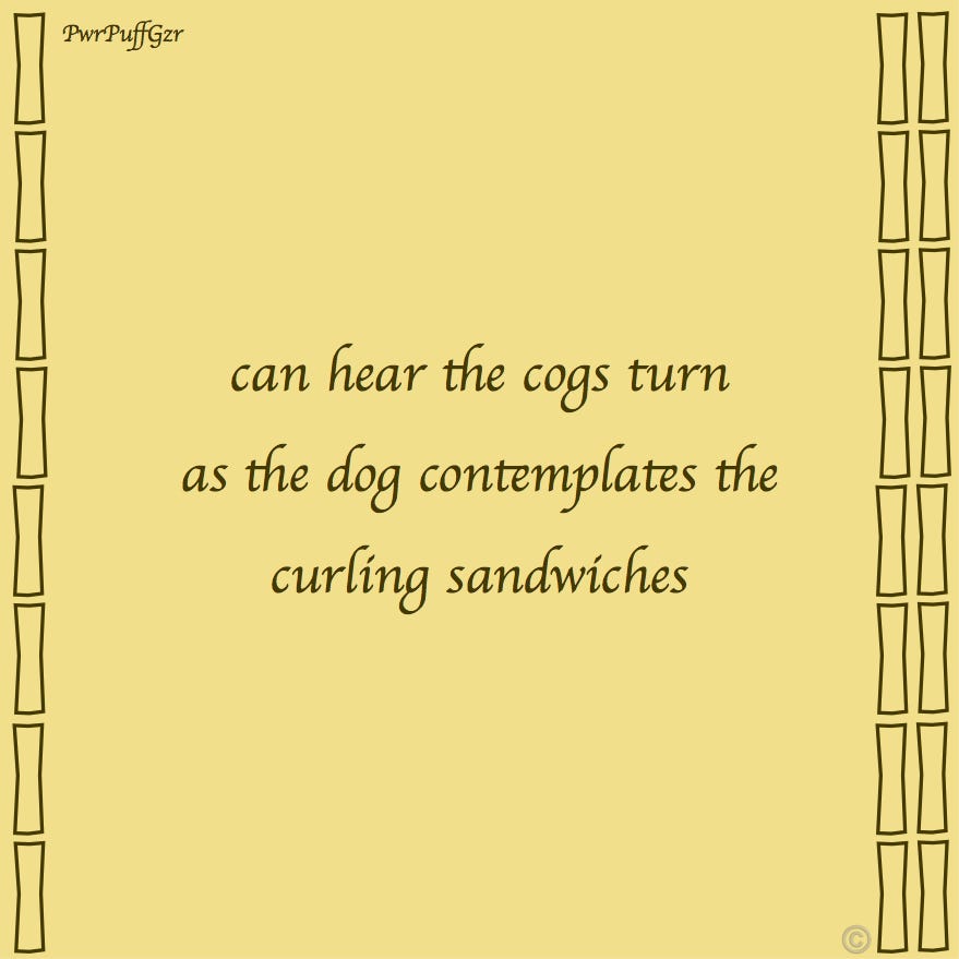 Haiku Curling Sandwiches - Paul Douglas Lovell - Medium