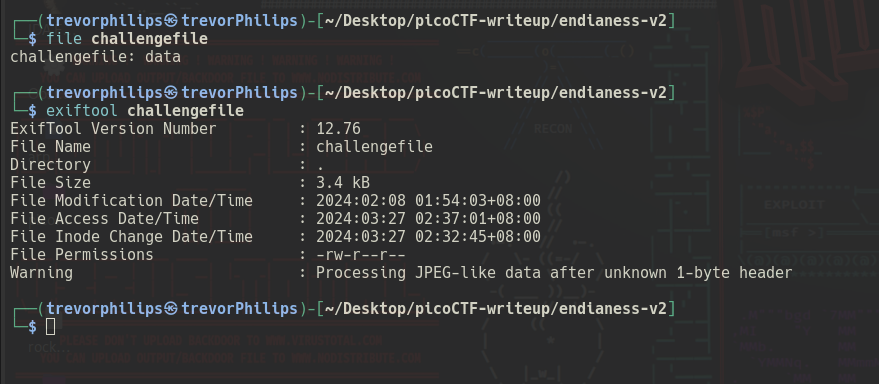 PicoCTF 2024 — endianness-v2. Forensic Category Challenge… | by Shreethaar | Medium