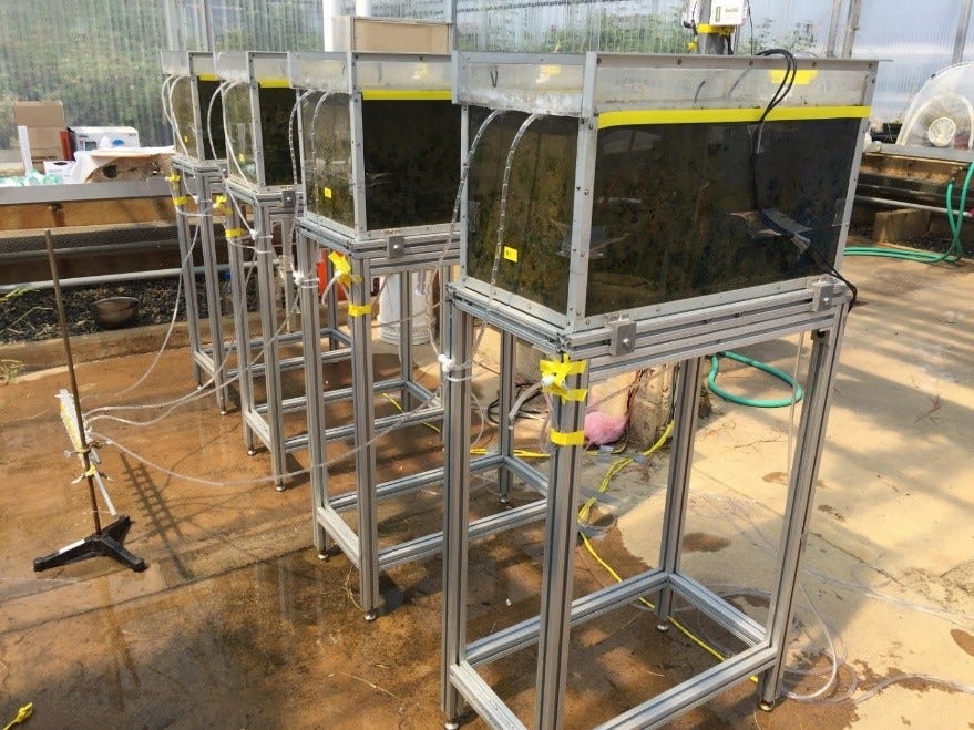 Biochar Basics — Biochar and Stormwater — An Interview with Dr. Paul ...