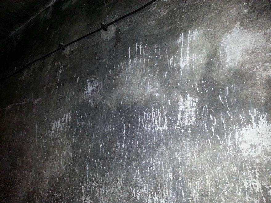 The Horrors of Auschwitz: Inside of a Disgusting Nazi Gas Chambers ...