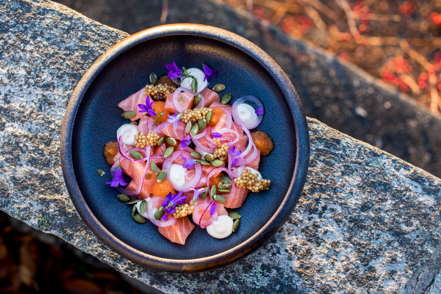 A Scandinavian TV Show Makes Eating Trees Look Cool | by Hoang ...