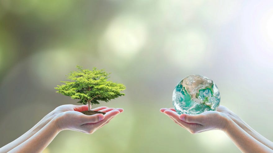 Social Entrepreneurship Meets Psychology: Rewiring Minds for a ...