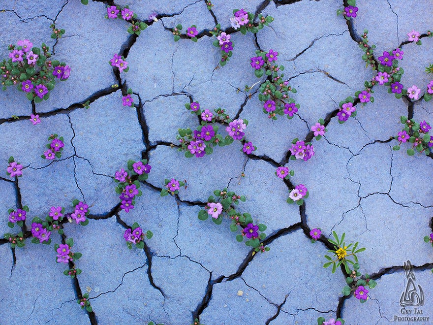 Apathy — it’s not all it’s cracked up to be | by Deborah Thelwell | Medium